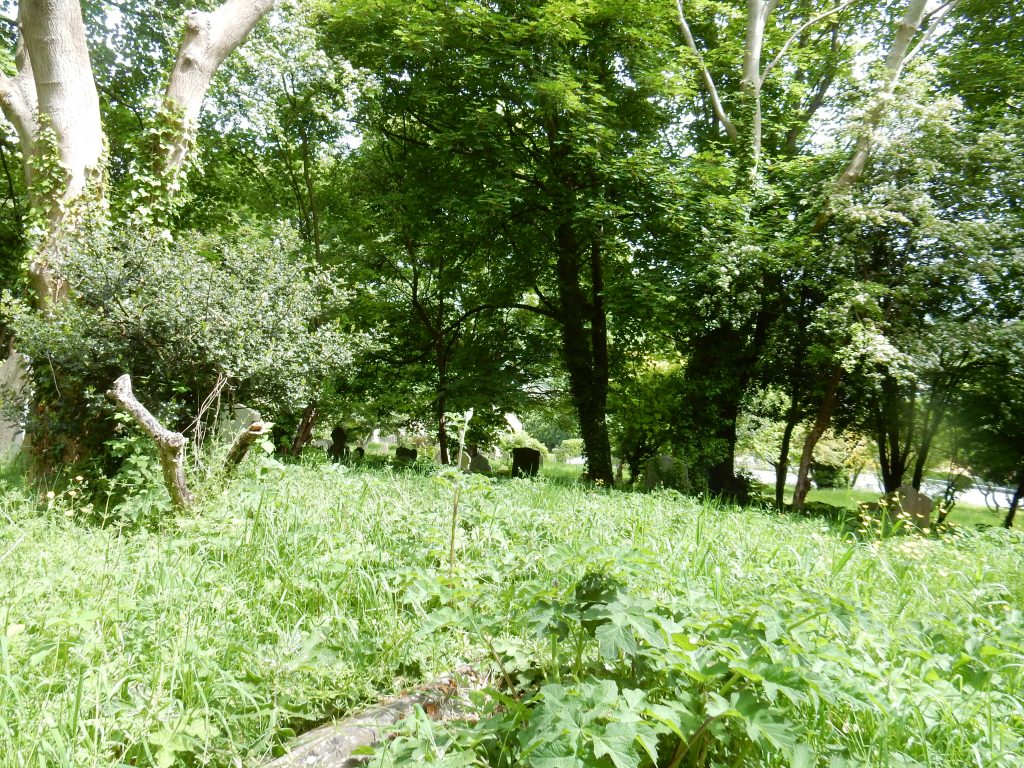 Cowgate – The Dover Society